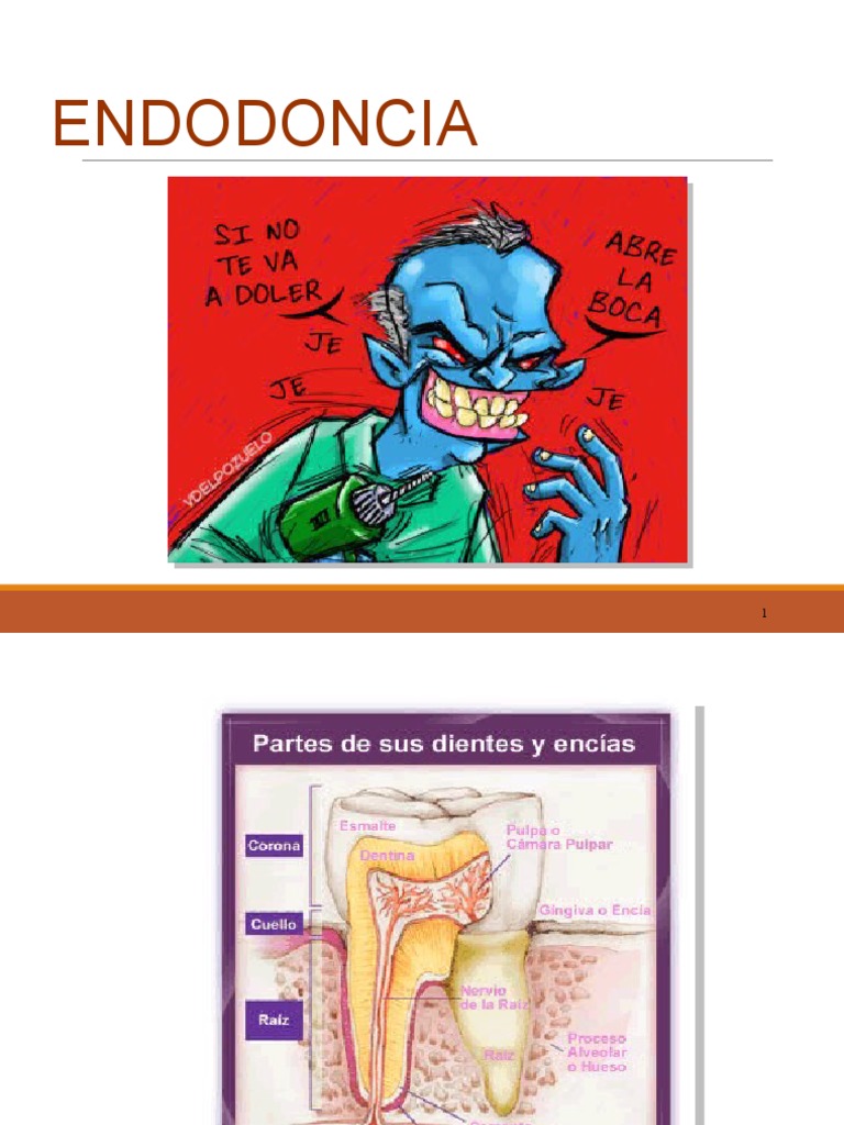 Endodoncia | PDF | Ramas de Odontología | Especialidades Medicas