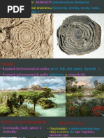 Prvohory A Druhohory | PDF