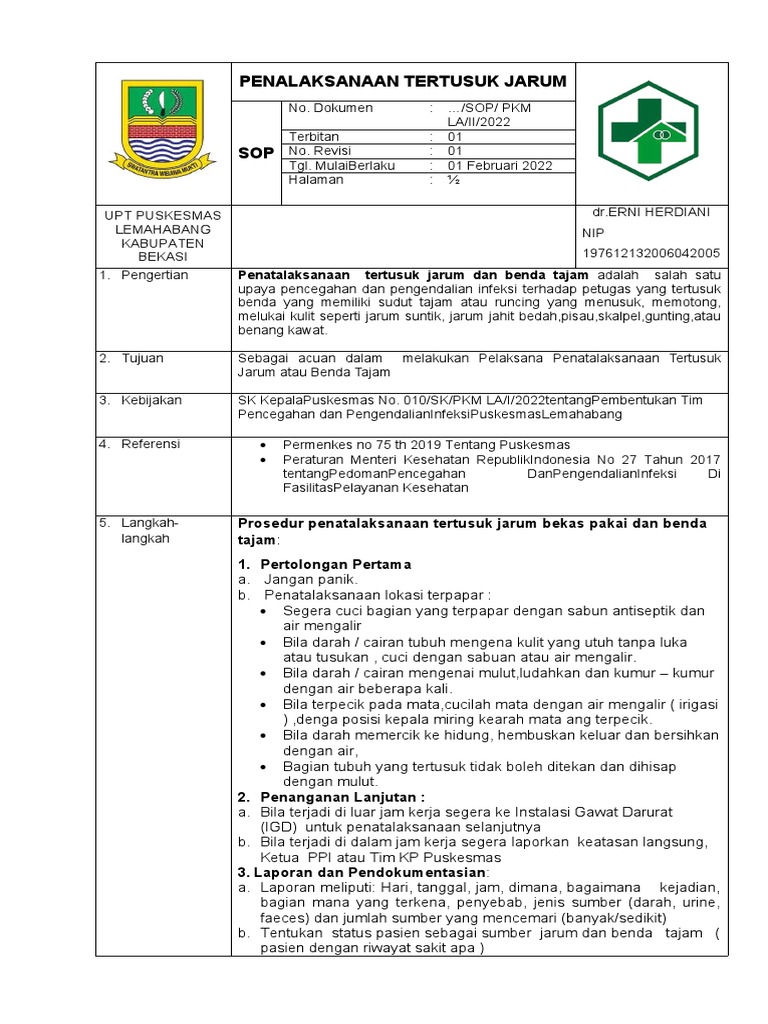 Sop Tertusuk Jarum | PDF