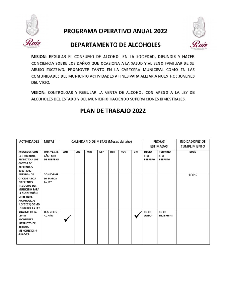 Programa Operativo Anual 2022 | PDF