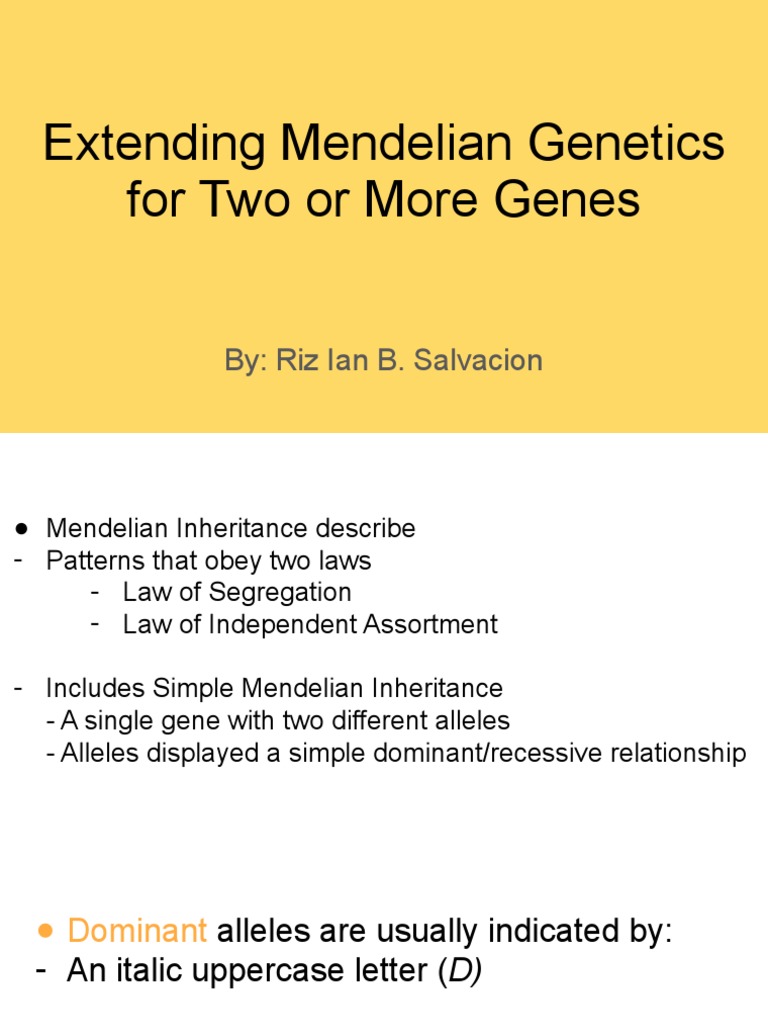 Extending Mendelian Genetics For Two or More Genes | PDF | Dominance ...