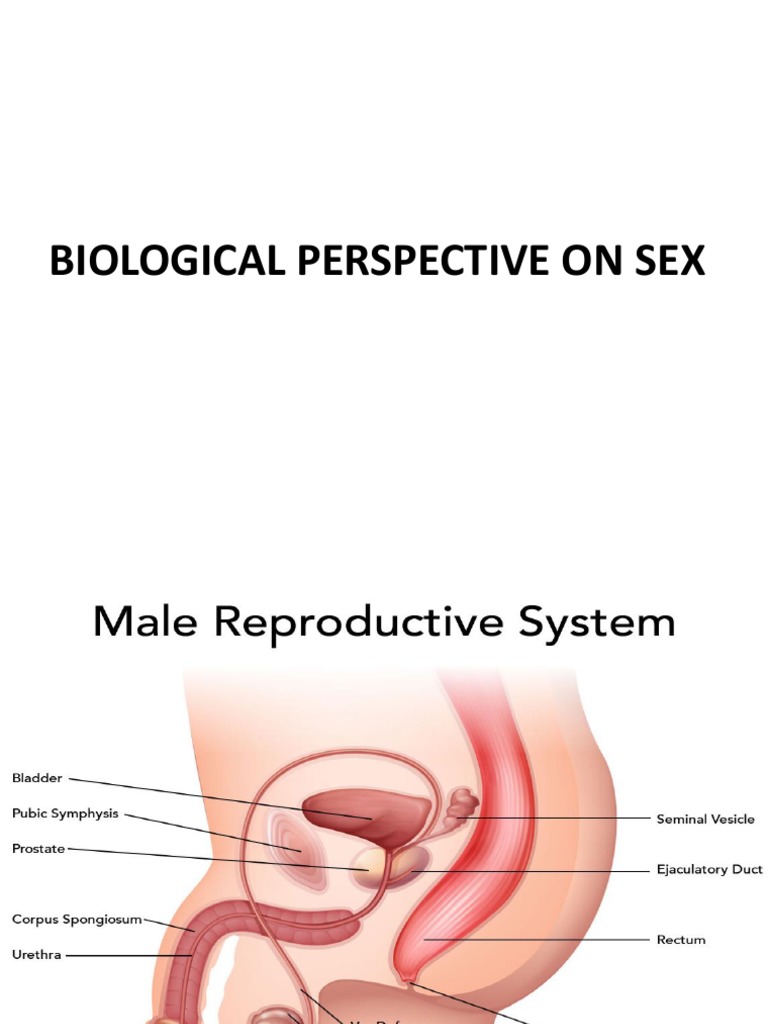 Sex Pdf Pdf