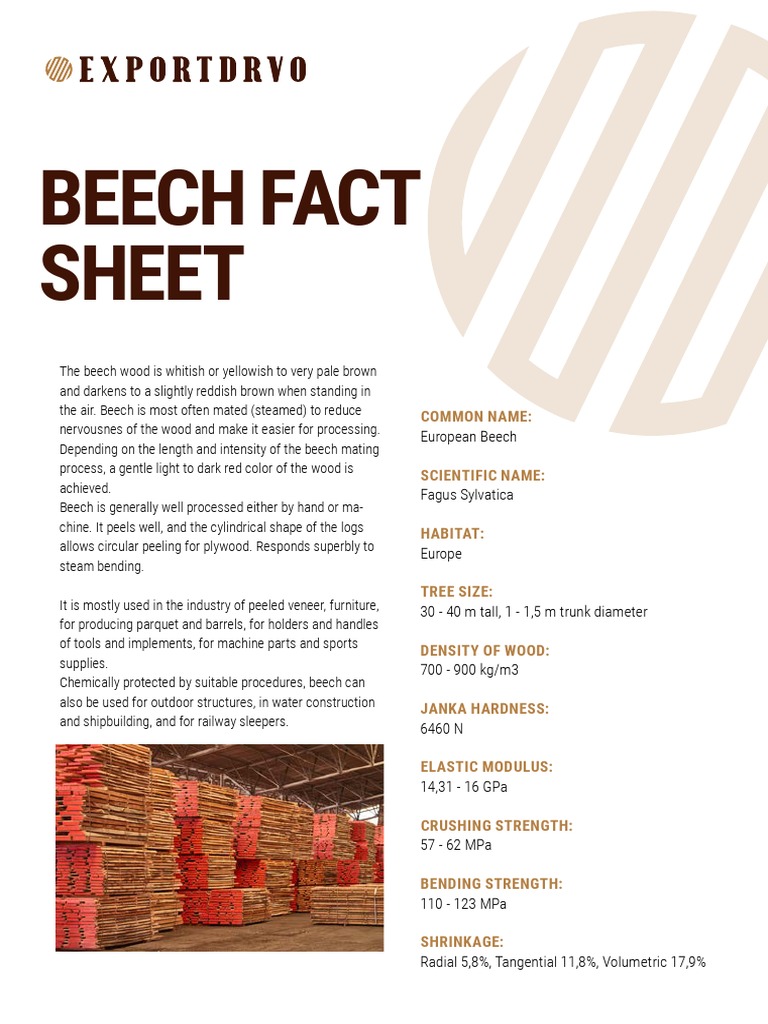 Beech | PDF | Wood | Beech