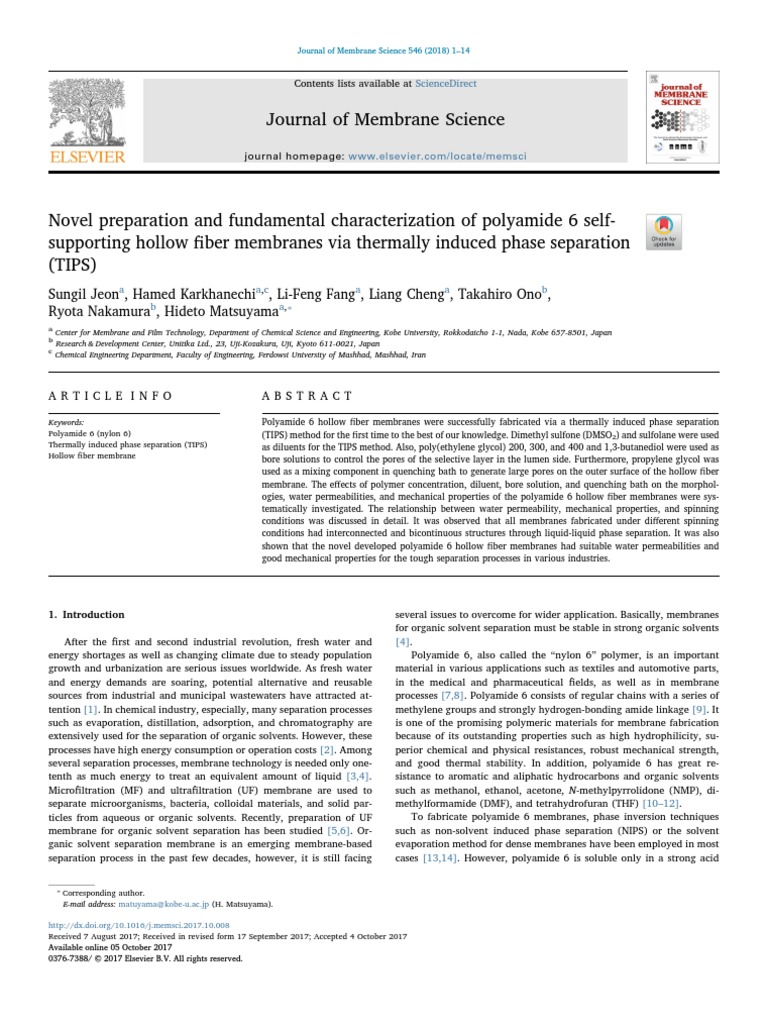 Novel Preparation and Fundamental Characterization of Polyamide 6 Selfsupporting Hollow Fiber ...