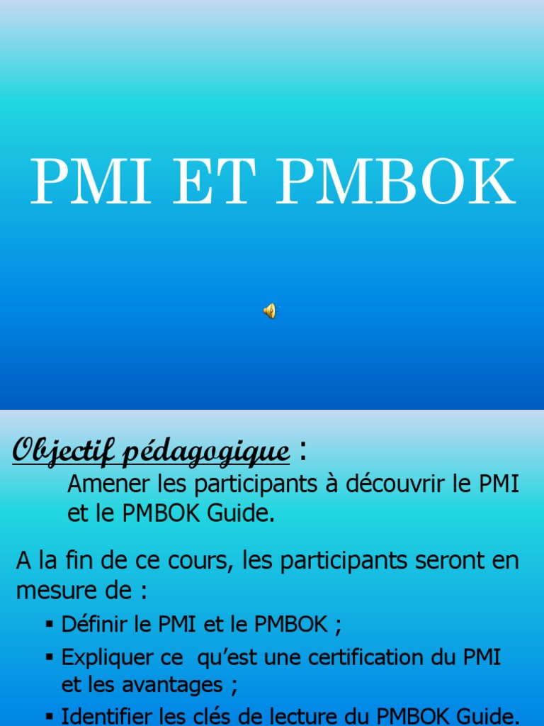 Introduction au PMI et PMBOK Guide | PDF | Planification | Gestion de ...