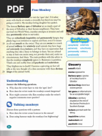 Throwing A Tree Poem Comprehension - 3 Star | PDF