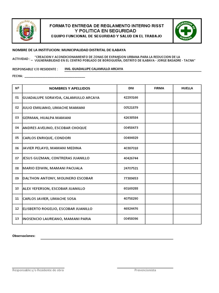 Mdi Col F 018 - Formato Entrega de Risst | PDF