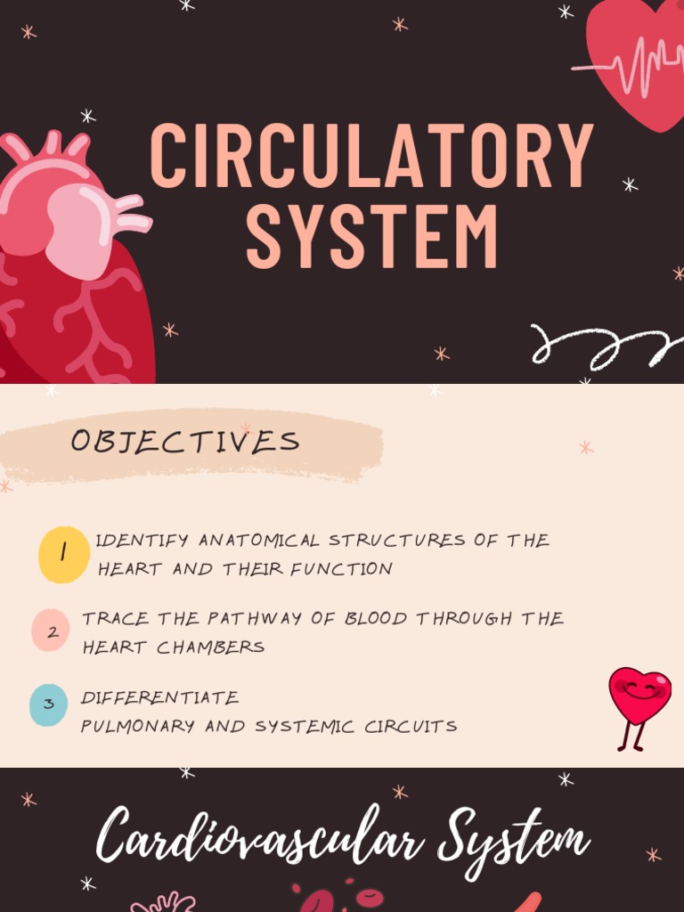 Circulatory System | Download Free PDF | Heart Valve | Heart