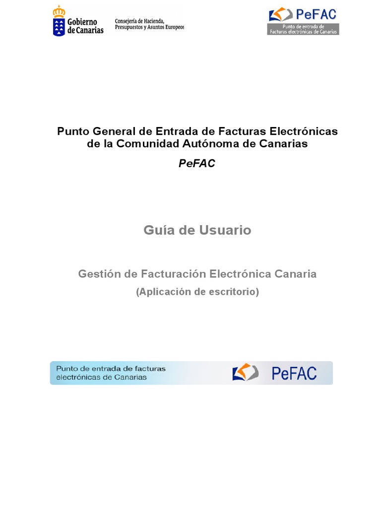 Guia Usuario Aplicacion Escritorio PeFAC v1.5 | PDF | Archivo de ...