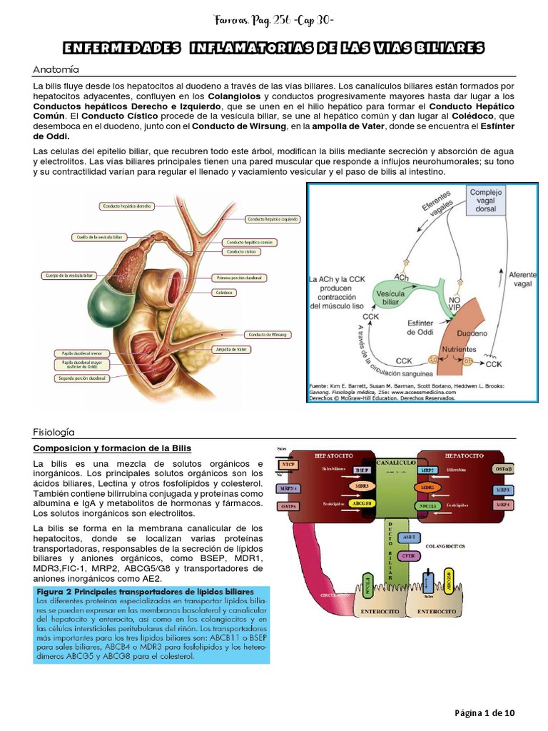 Enfermedades Vias Biliares | PDF | Bilis | Vesícula biliar