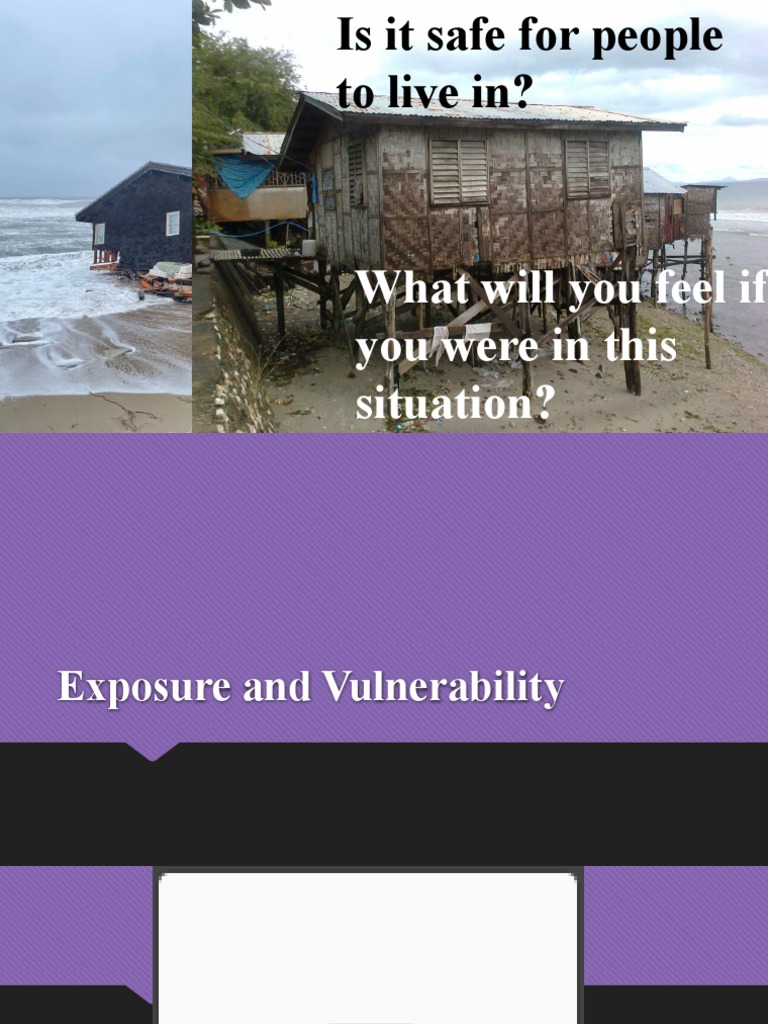 Chapter 2 Exposure and Vulnerability | PDF | Vulnerability | Hazards