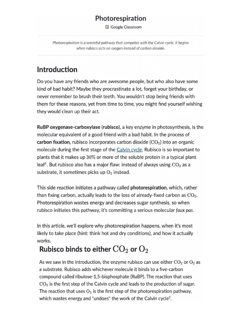 Photorespiration, C3, C4 and CAM | PDF