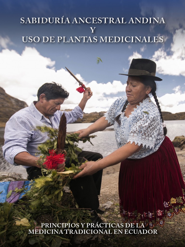 Sabiduria Ancestral Andina y Uso de Plantas Medicinales | PDF ...