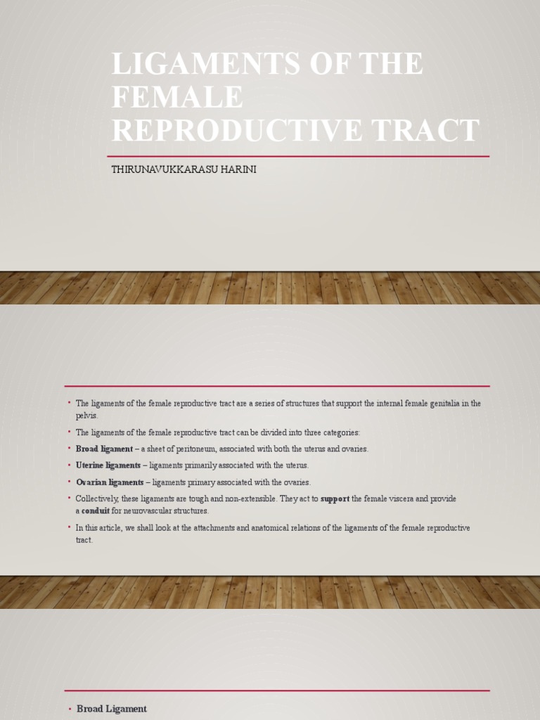 Anatomy of Female Reproductive Ligaments | PDF | Uterus | Ovary