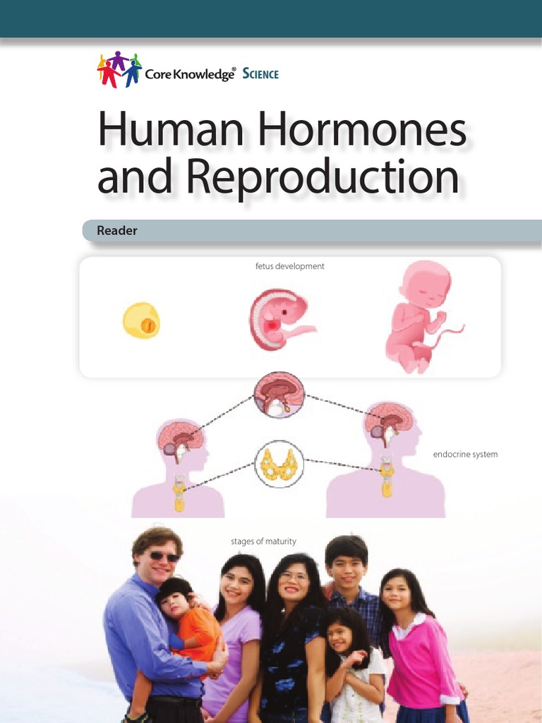 CKSci G5U6 Human-Hormones-and-Reproduction SR | PDF | Menstrual Cycle ...
