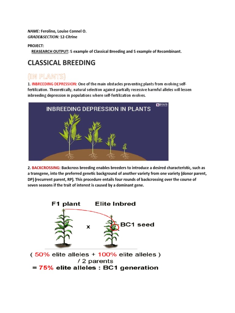 Classical-Breeding Samples | PDF