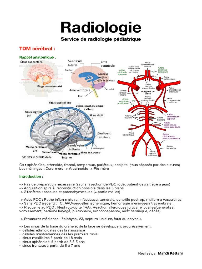 TDM Cérébral PDF | PDF | Traumatisme crânien | Liquide cérébro-spinal