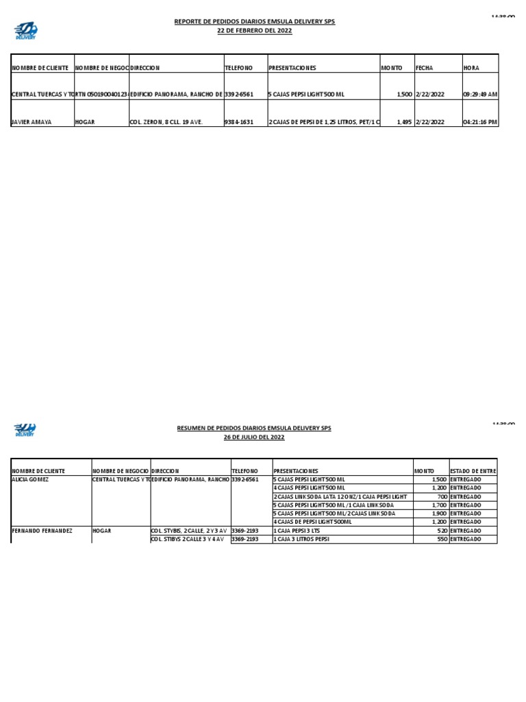 Copia de PEDIDOS DIARIOS EMSULA DELIVERY | PDF