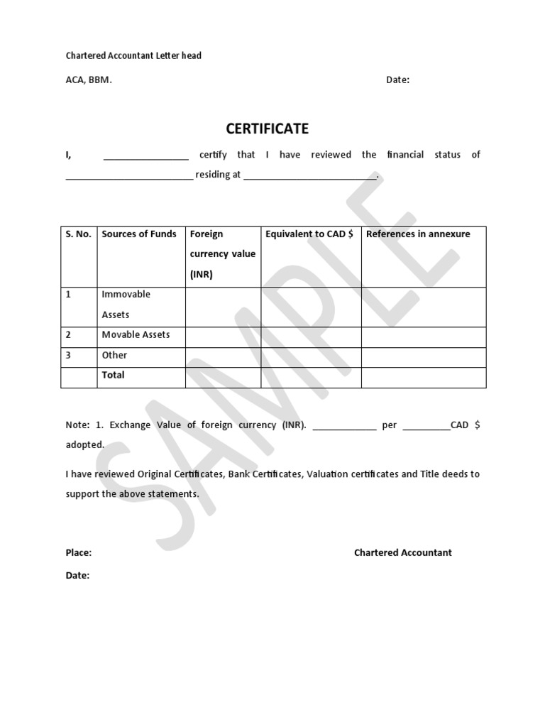 CA Report Format | PDF