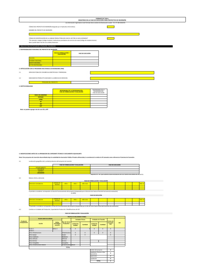 Formato8a Directiva001 2019EF6301 | PDF | Infraestructura | Economias