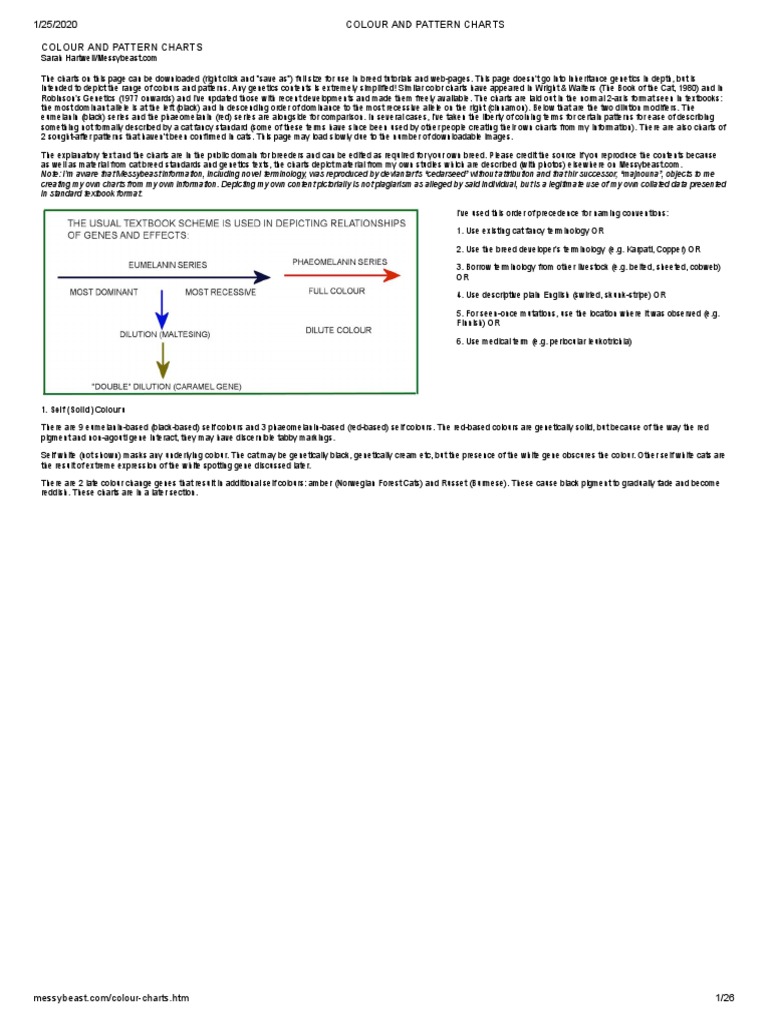 Cat Color and Pattern Genetics Chart | PDF | Domesticated Animals | Felids