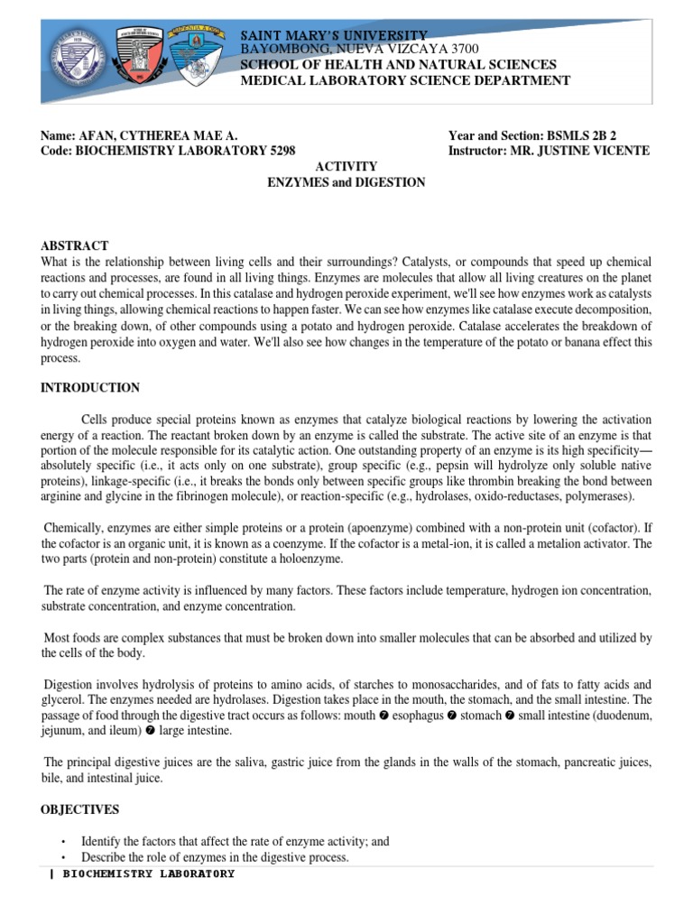 ACTIVITY 8 Enzymes and Digestion | PDF | Enzyme | Human Digestive System