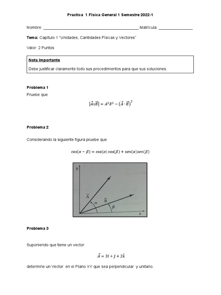 Capítulo 1 "Unidades, Cantidades Físicas y Vectores" | PDF | Vector Euclidiano | Longitud