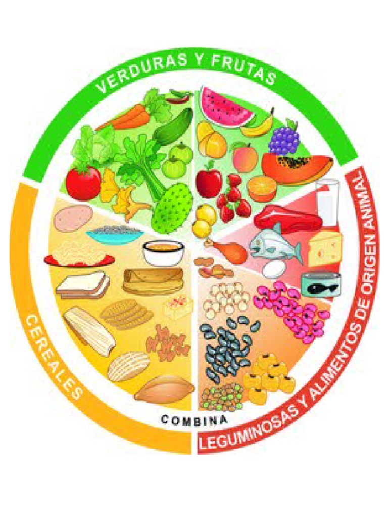 El Plato Del Buen Comer | PDF | Alimentos | Dieta