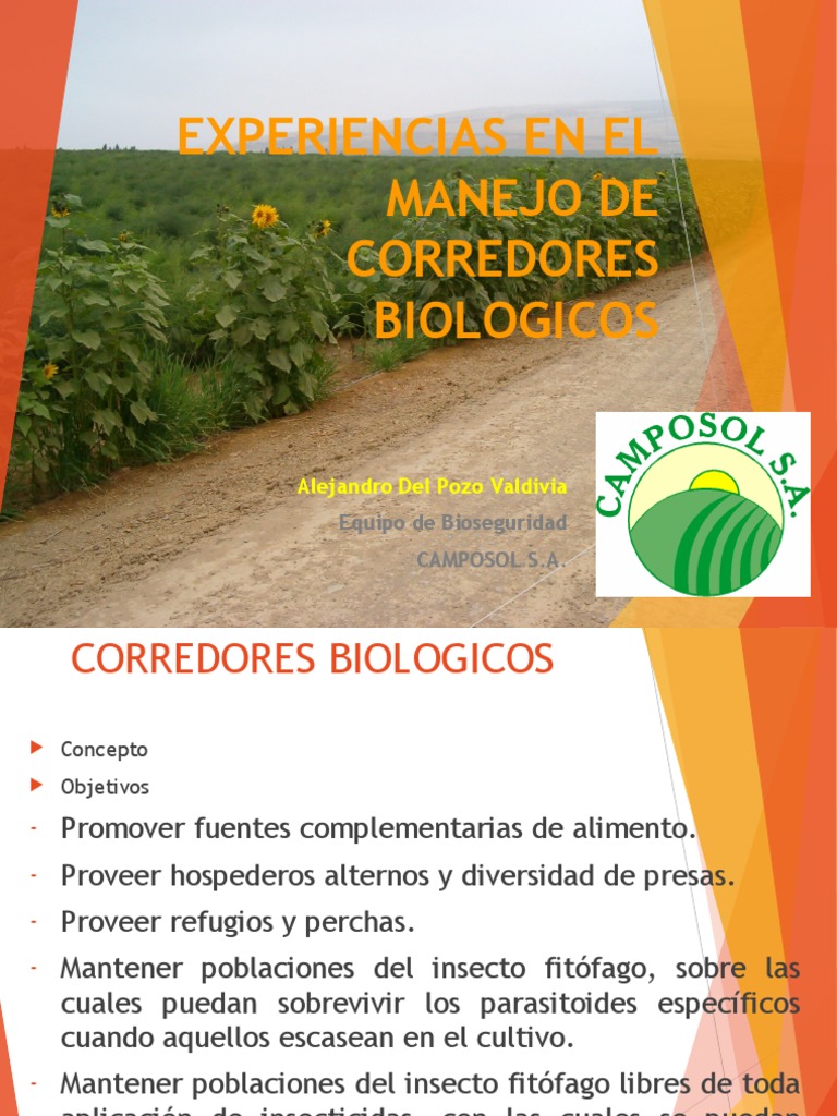 Ing. Alejandro Del Pozo - Experiencias en El Manejo de Corredores ...