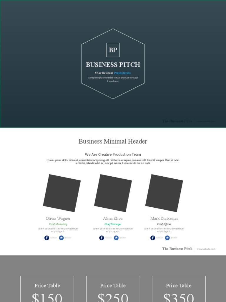 Business Pitch | PDF