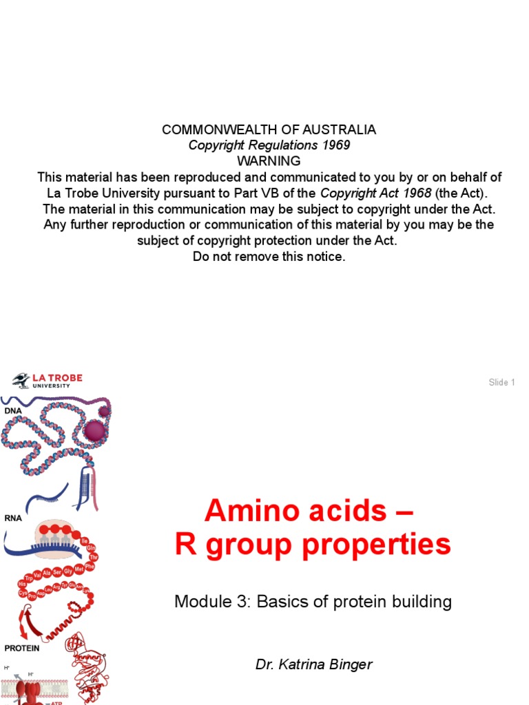 Amino Acids R Groups Pdf Amino Acid Proteins