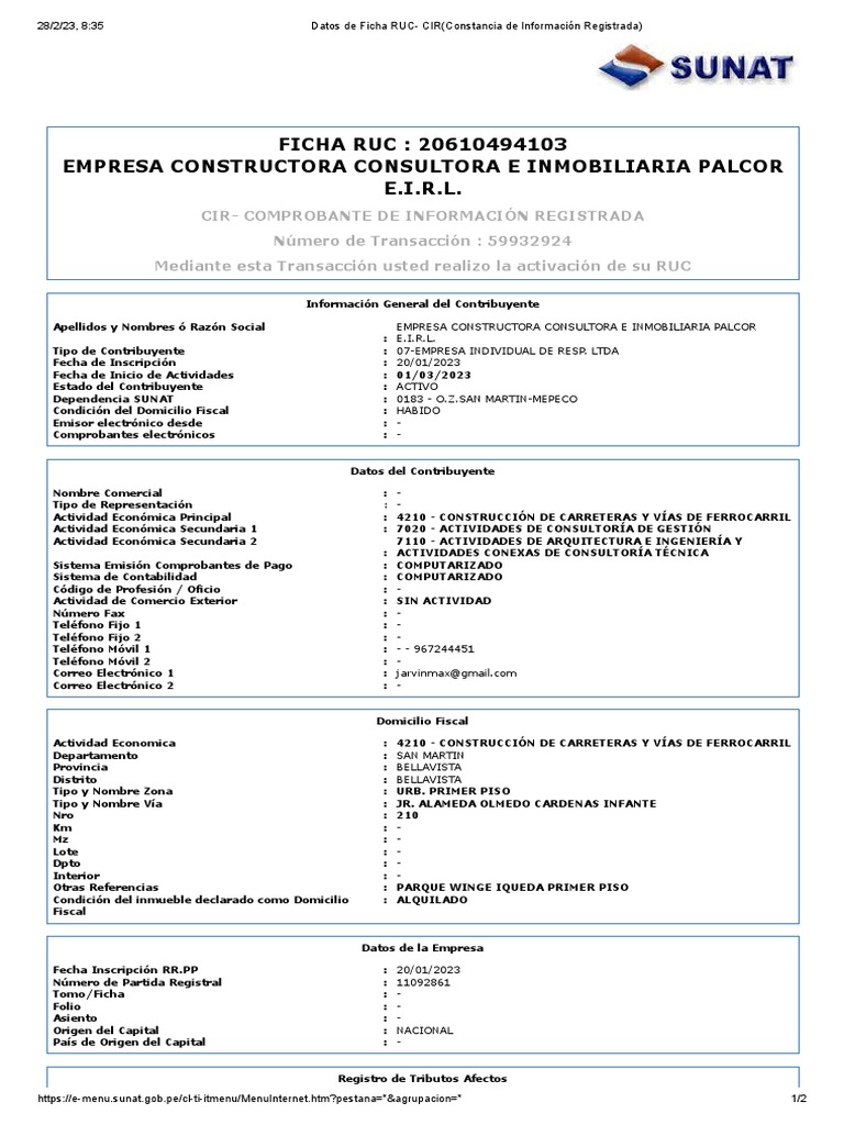 Ficha Ruc Palcor | PDF | Economias