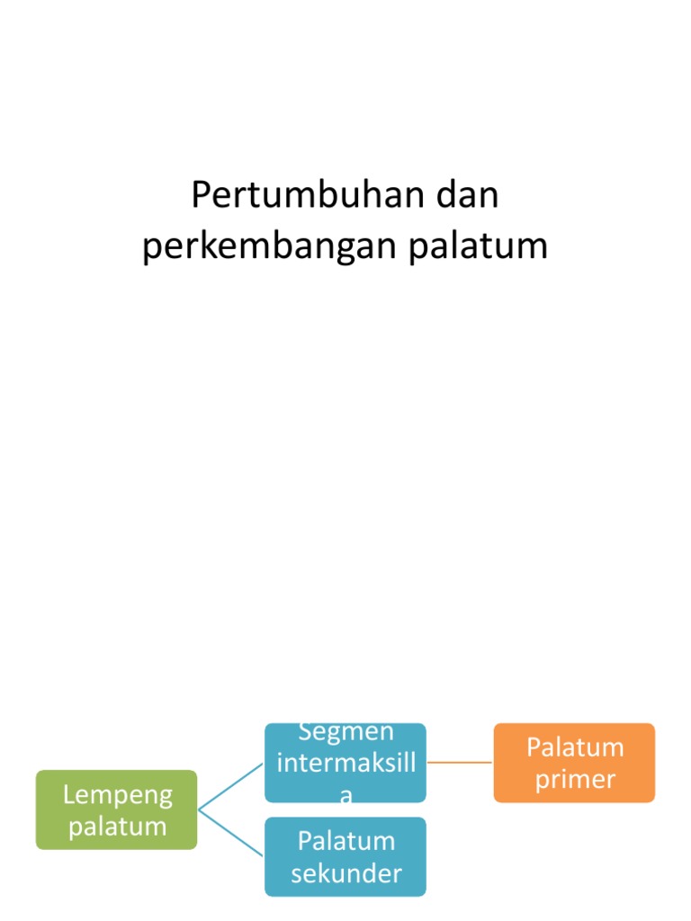 Pertumbuhan Dan Perkembangan Palatum | PDF