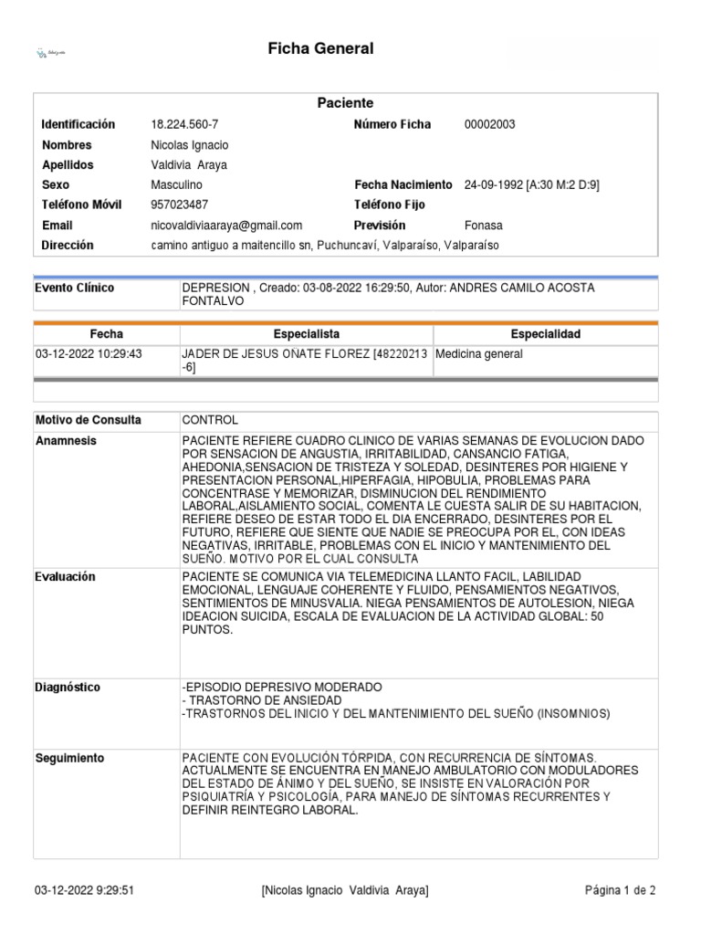 FICHA Nicolas Ignacio Valdivia Araya 1 PDF | PDF | Depresión (estado de ánimo) | Medicina