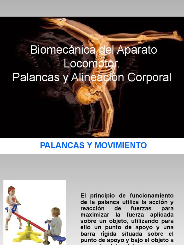 Biomecanica Del Aparato Locomotor, Palancas y Alineacion TEMA 3 | PDF ...