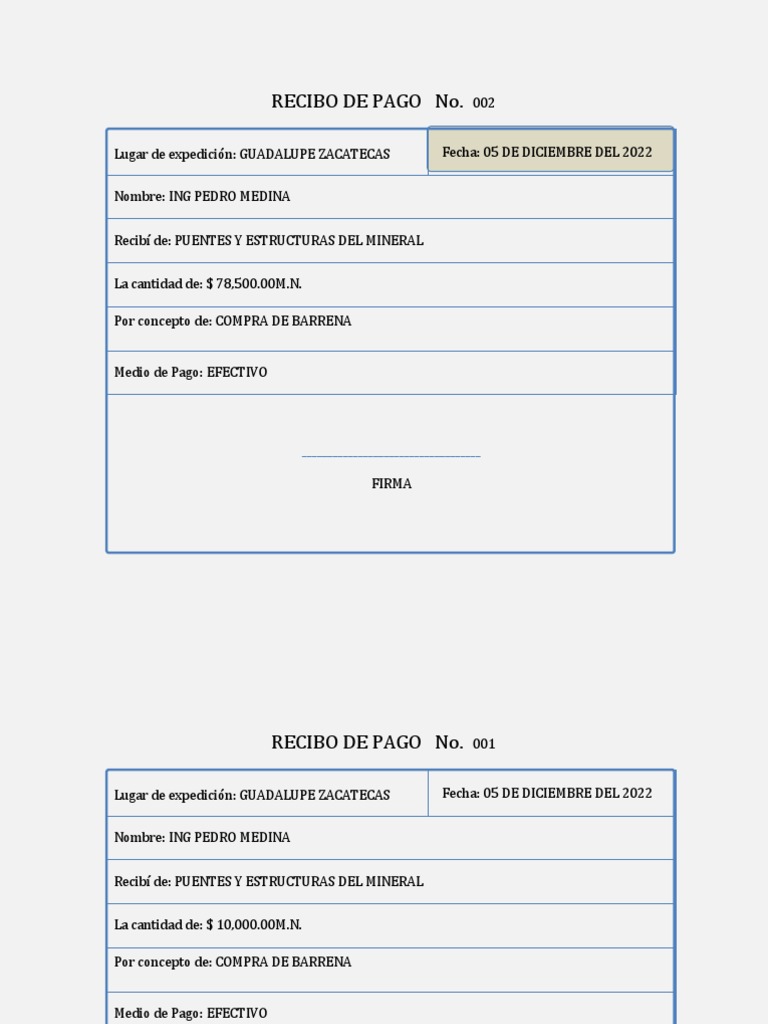 Recibo de Pago Simple | PDF