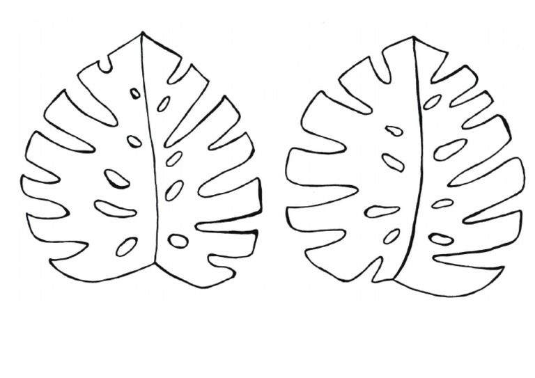 Lisc Monstera Szablon | PDF