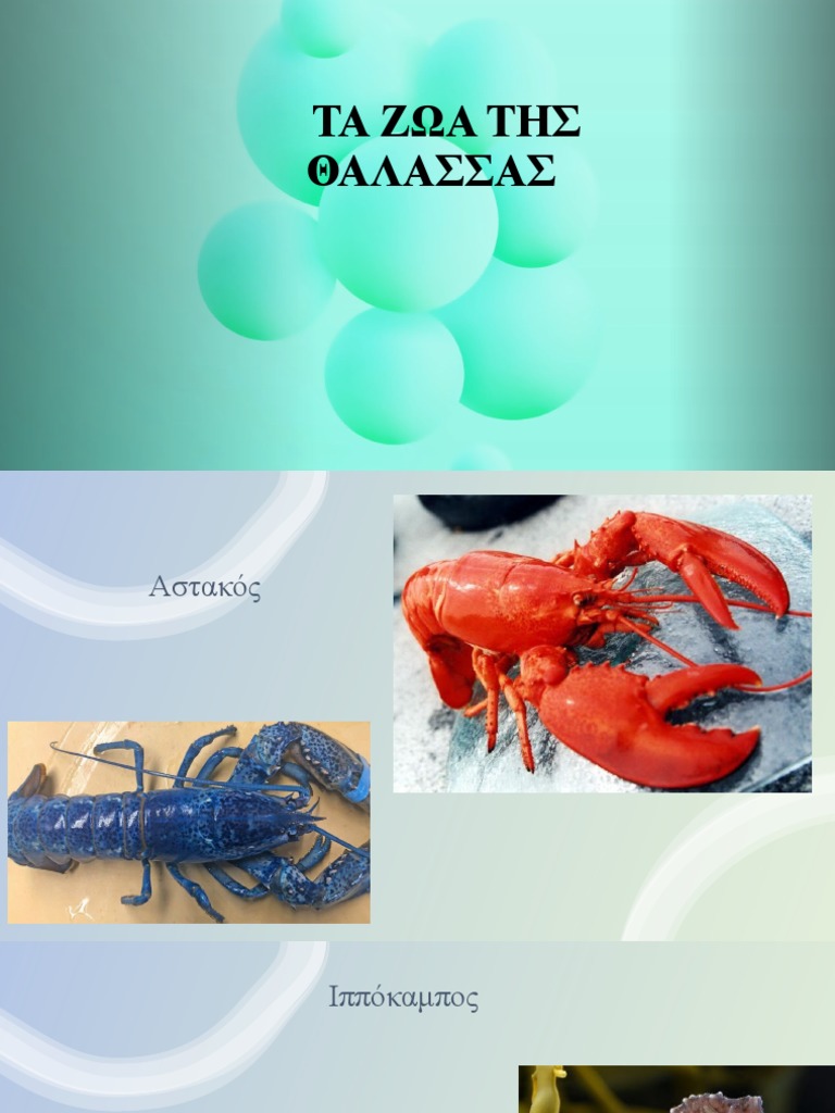 τα ζωα της θαλασσας | PDF