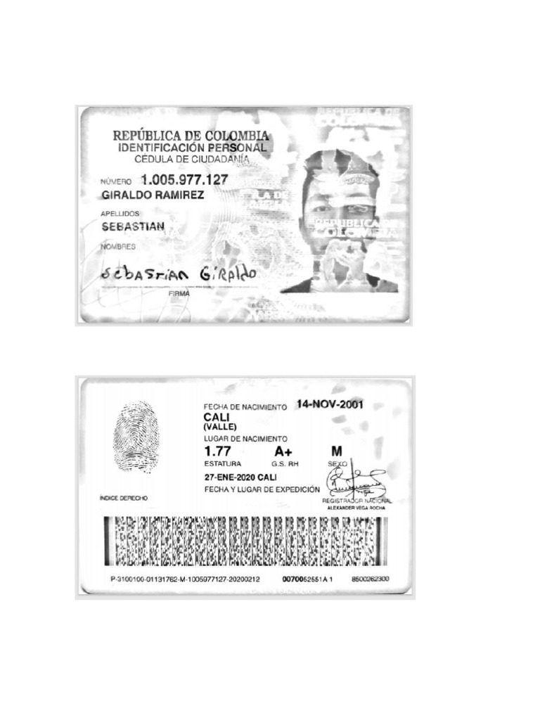 Cedula Sebas PDF | PDF