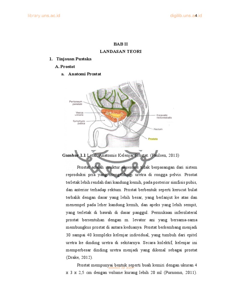 Anatomi dan Fisiologi Prostat | PDF | Kesehatan Holistik | Sains ...