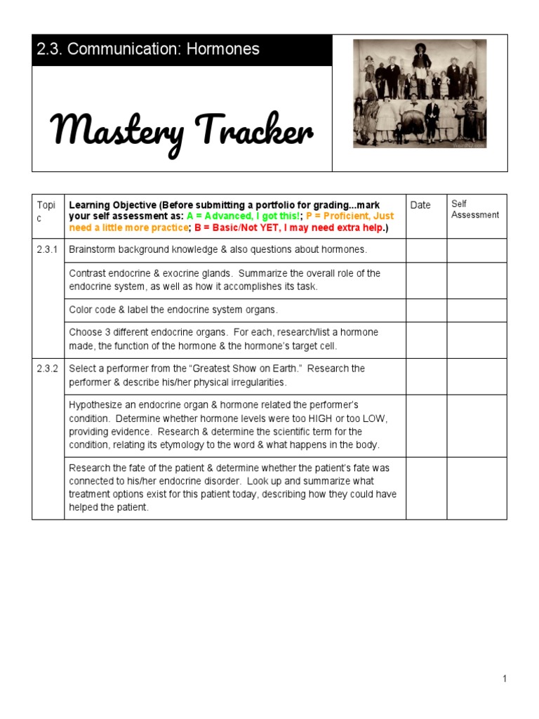 HBS Unit 2.3 Portfolio | PDF | Endocrine System | Hormone