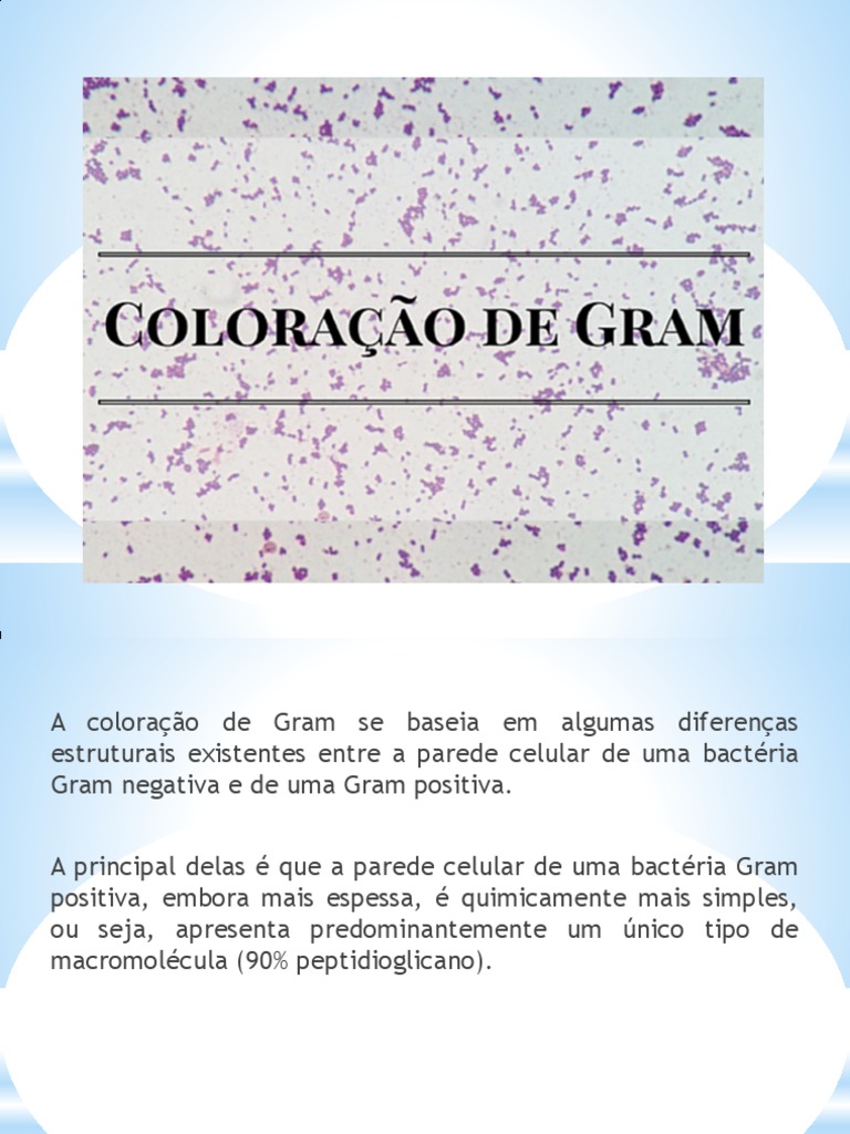 Coloração de Gram: Método e Diferenças | PDF