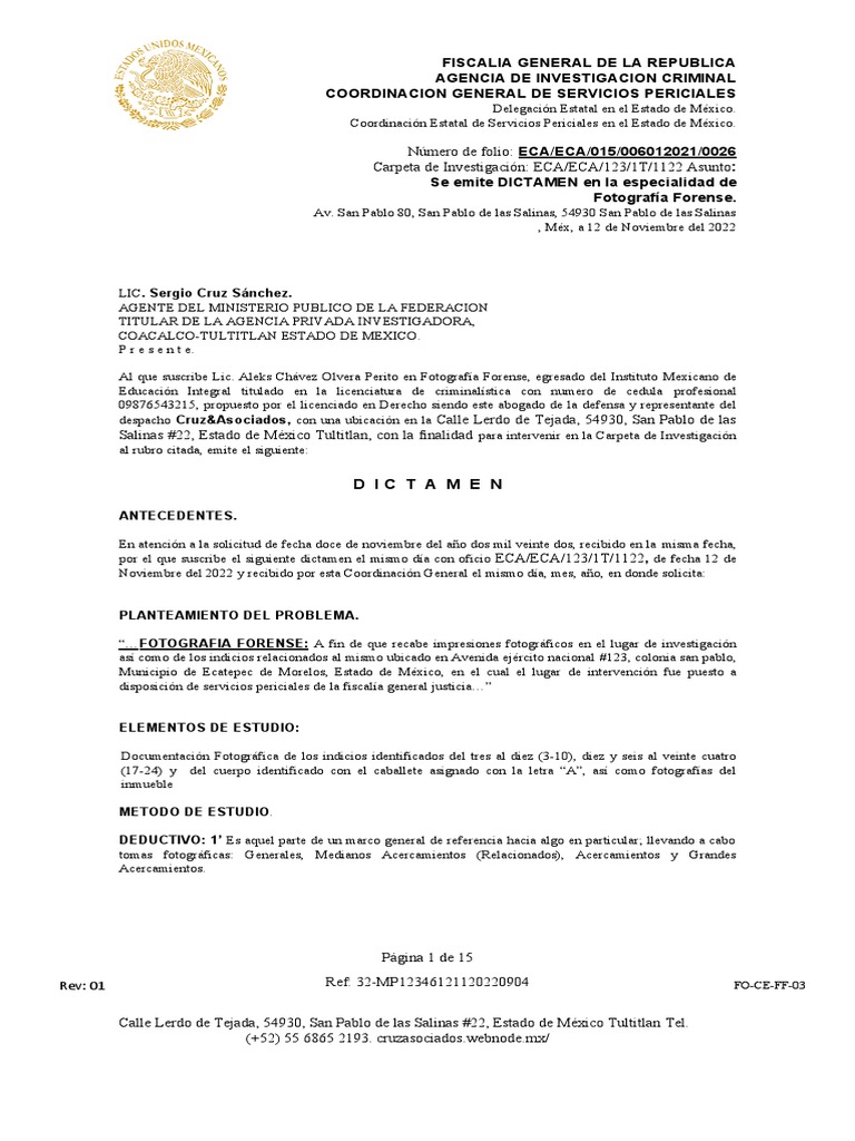 Dictamen Ejemplo | PDF