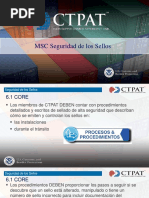VVTT Inspection Process - VVTT Inspeccion de Proceso | PDF