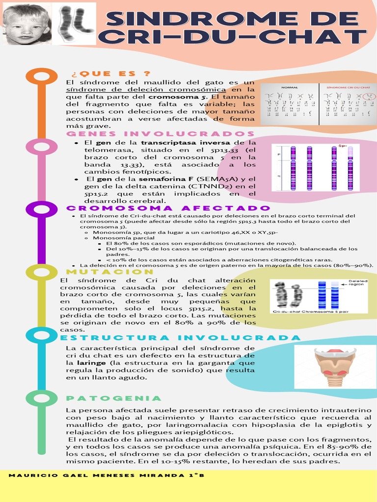 Infografia Sindrome de Cru-Di-Chat Mauricio Meneses 1°b | PDF ...