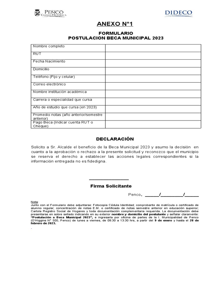 Anexo 1 Formulario Postulación Beca Municipal 2023 | PDF | Finanzas y dinero