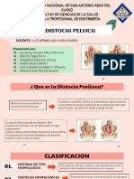 Distocias Pelvicas | PDF | Pelvis | Parto