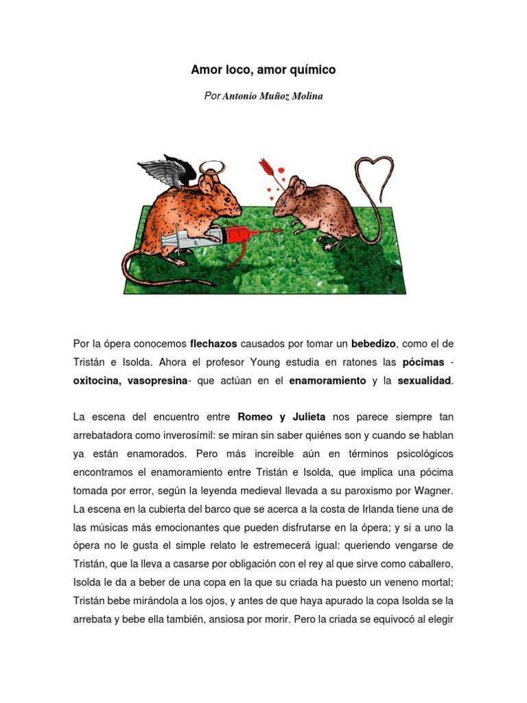 Amor Loco, Amor Quimico PDF | PDF | Amor
