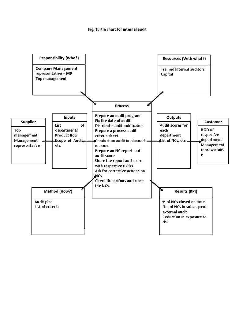 Turtle Diagram Template | PDF | Audit | Internal Audit
