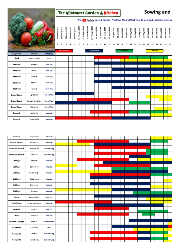 Sowing & Planting Veg Calendar 2023 | PDF | Zucchini | Onion